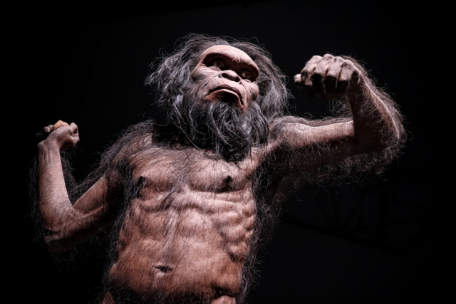 METEOFOR: 60,000 years ago, Neanderthals already knew how to make glue