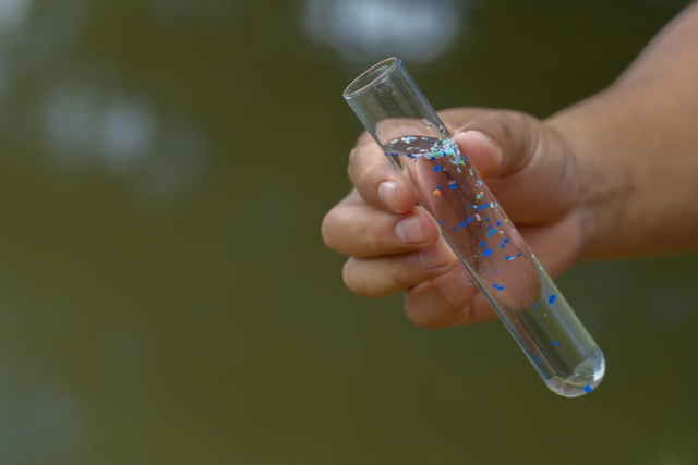 METEOFOR: Scientists develop innovative foam to remove microplastics ...