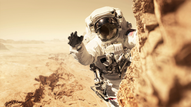 METEOFOR: Why might astronauts’ blood be needed on Mars?