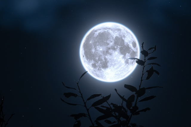 METEOFOR: How long does it take to get to Moon?