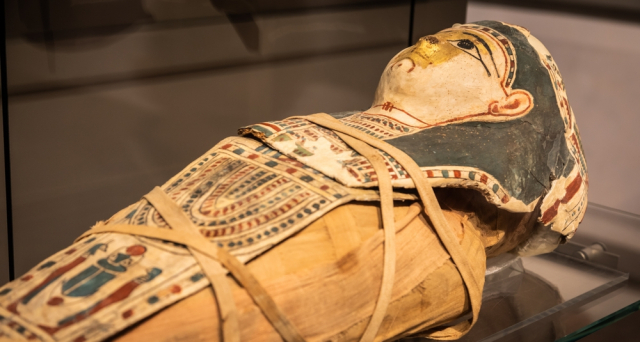 METEOFOR: Previously unknown method of embalming discovered in 18th ...