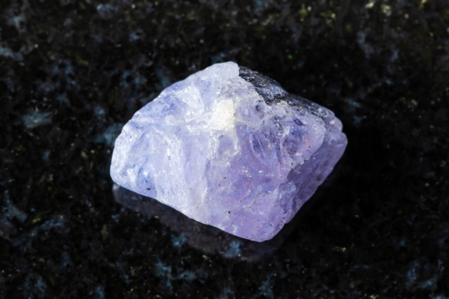 METEOFOR: Zebroids: zebra hybrids with impressive appearance and character