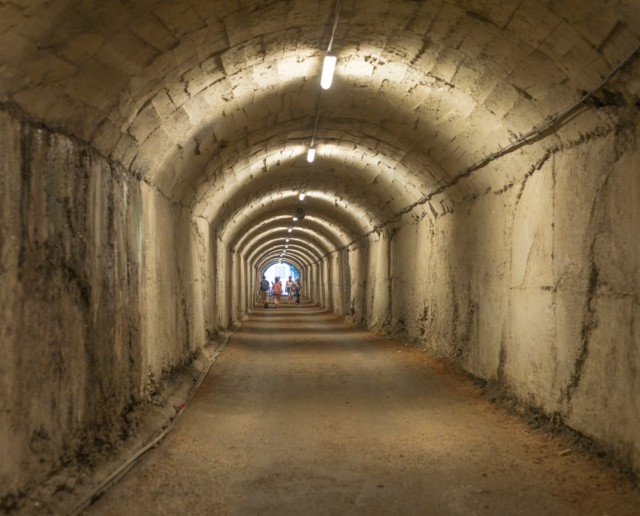 METEOFOR: Zebroids: zebra hybrids with impressive appearance and character