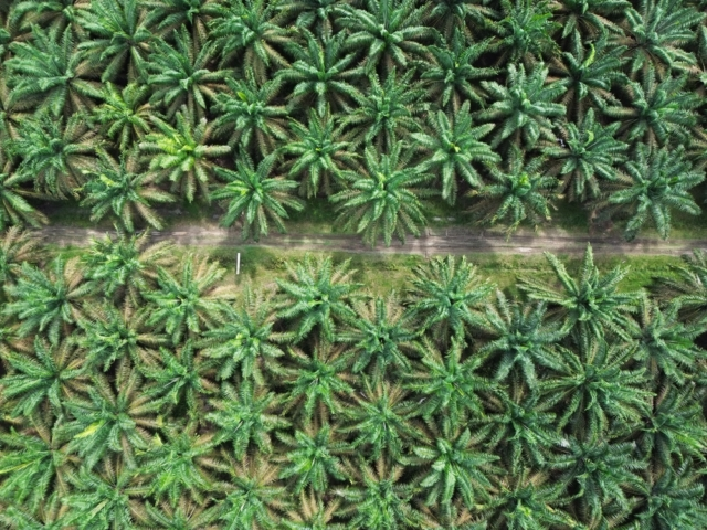 METEOFOR: China launches giant solar farm right above fish ponds