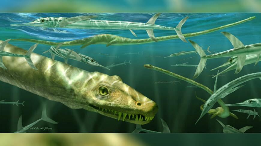 METEOFOR: Un «dragon» marin cu vârsta de 250 de milioane de ani a fost ...